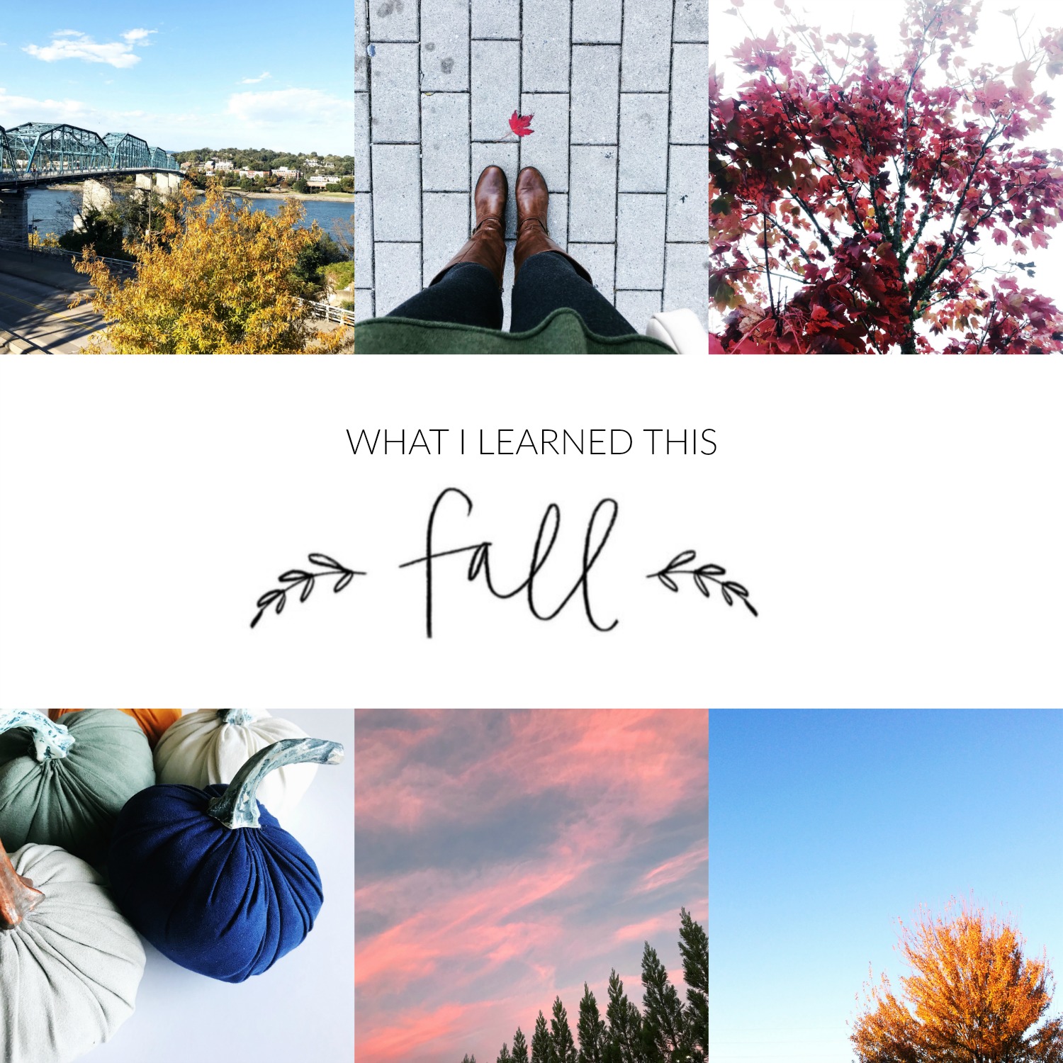 What I Learned This Fall | KaitlynBouchillon.com